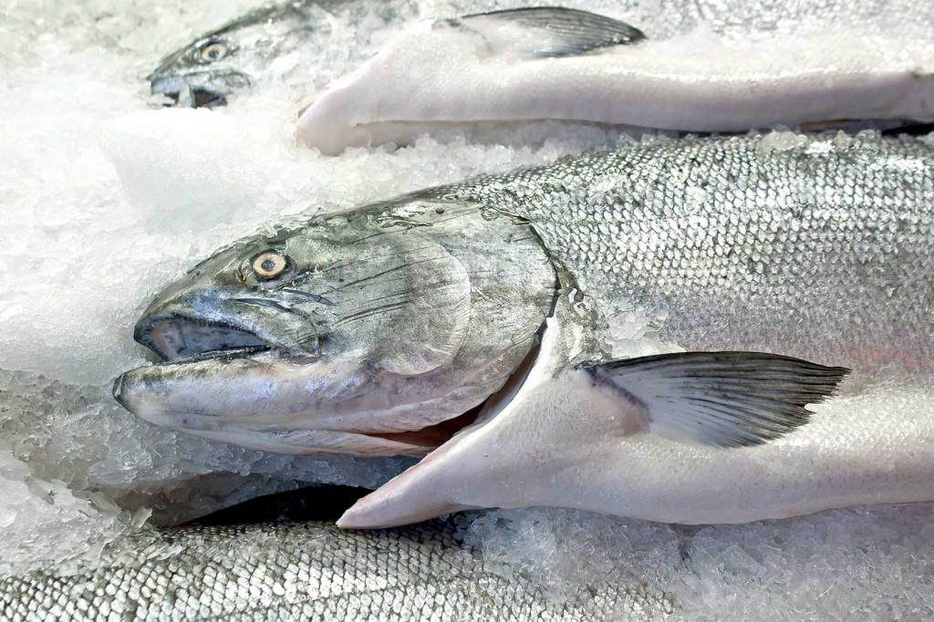 Le poisson frais est-il vraiment frais? - l'épicier