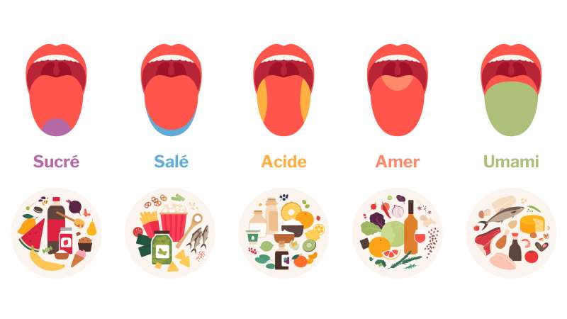 Qu’est-ce que le goût Umami? - l'épicier